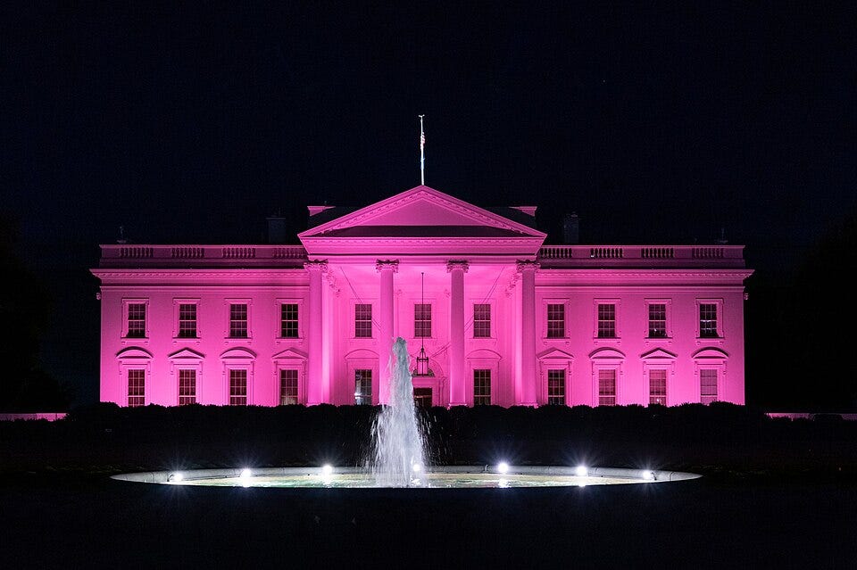 This October, Think Before You Pink: A Consumer Alert on Breast Cancer ...