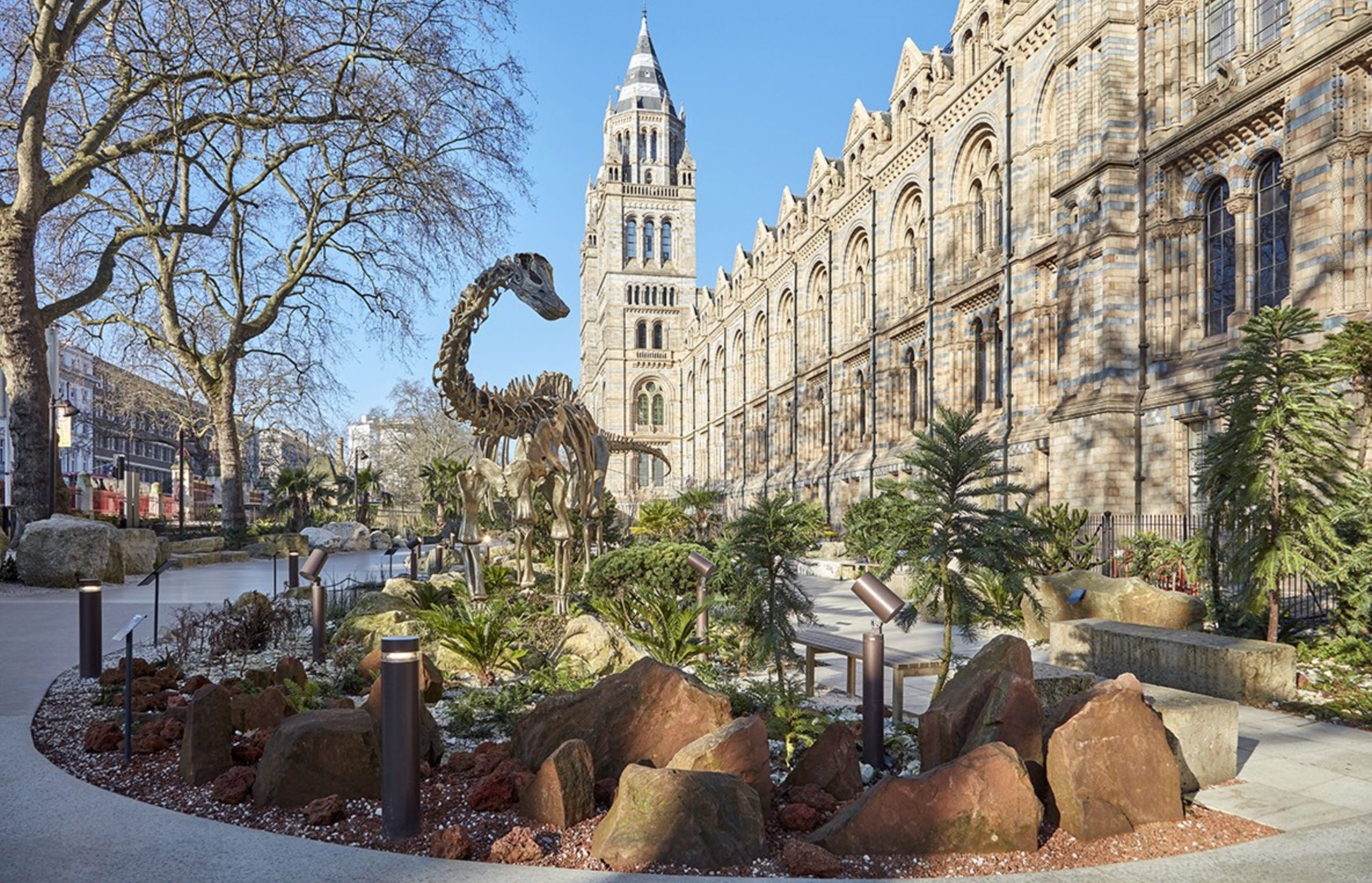 David Attenborough's museum experience - maxwell museums