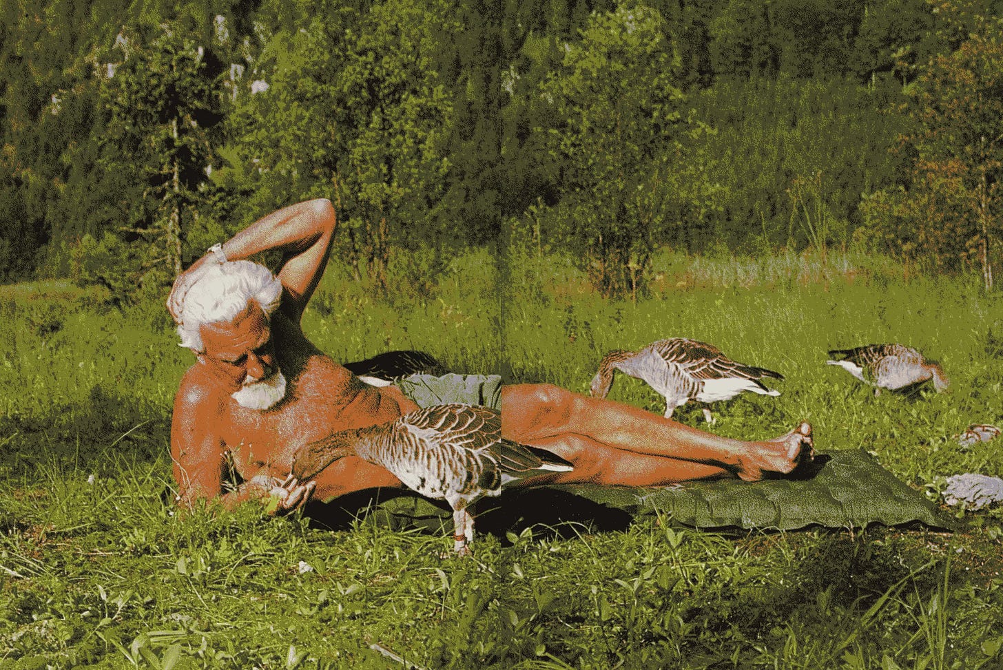 Those Curious Naturalists - by Claire L. Evans