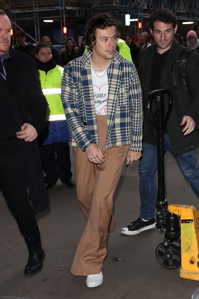Harry Styles Turns 30 - Learn All His Fandom Nicknames
