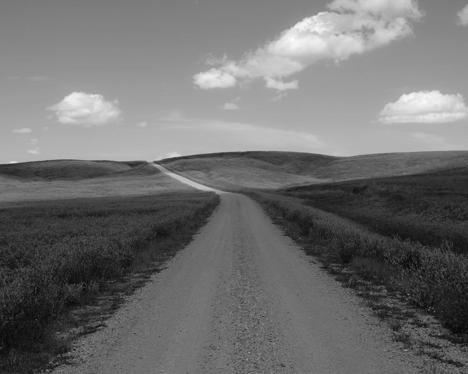 Artist Feature #22 - by Nicholas Talerico and Noah Waldeck