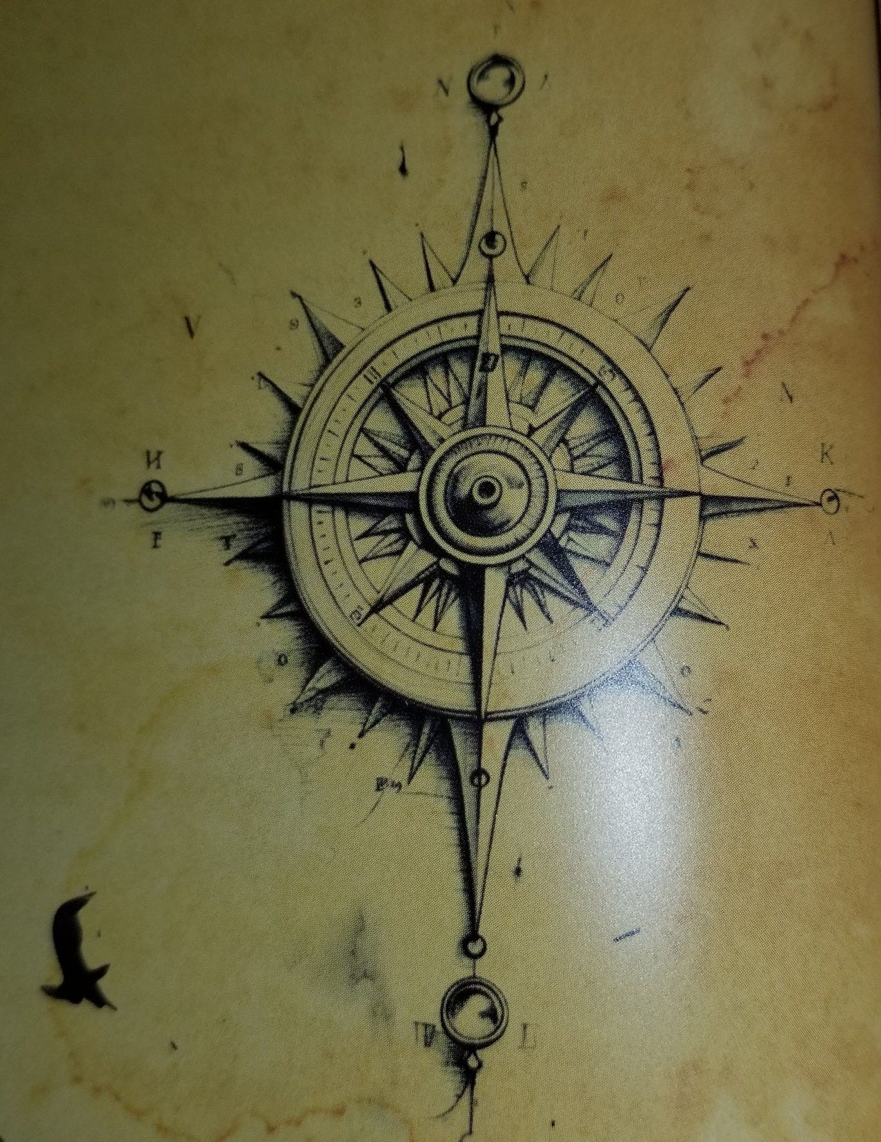 Day 10 – The Shipwreck, the Compass & Wind Part One