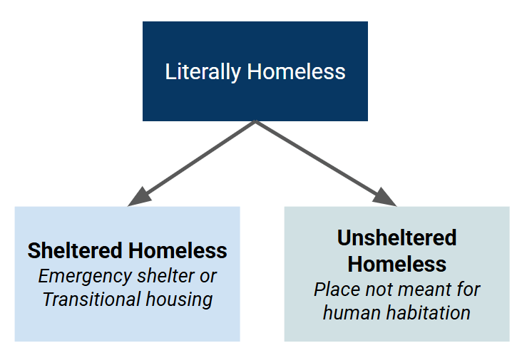 Measuring Homelessness - by Patrick Duffy - Living Policy