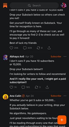 Carly Taylor | Substack