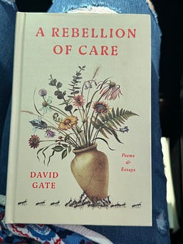 David Gate | Substack