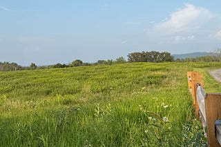 House of Green | Alexandra Fasulo | Substack