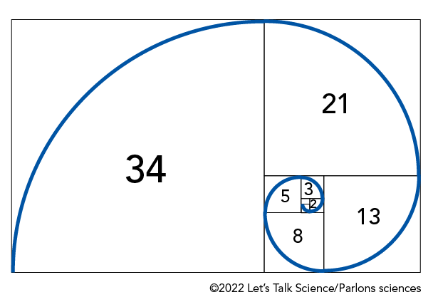 When the Cosmos Speaks in Fibonacci: 3I/ATLAS, My Father, and the ...