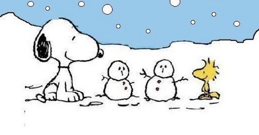 cold brew blog | Claire Wang | Substack