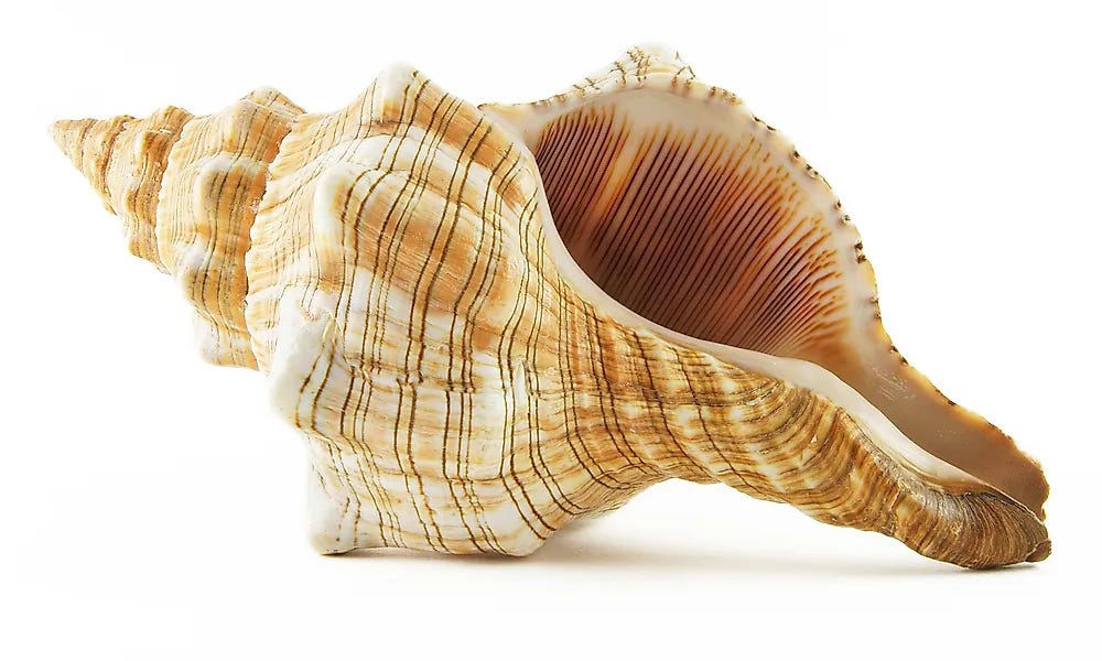 Dear Mr. President: John Bull, Not Uncle Sam, Made Venezuela A Petrostate