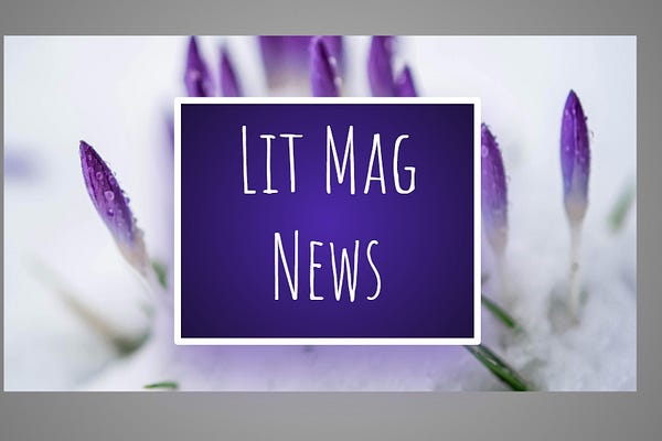 Lit Mag News | Becky Tuch | Substack