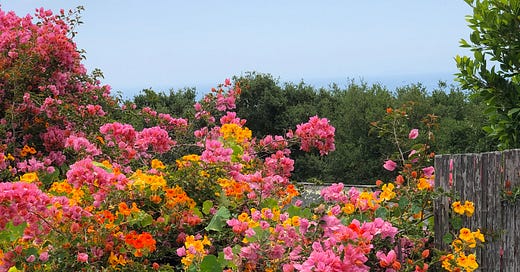 At Home | Sarah Drake | Substack