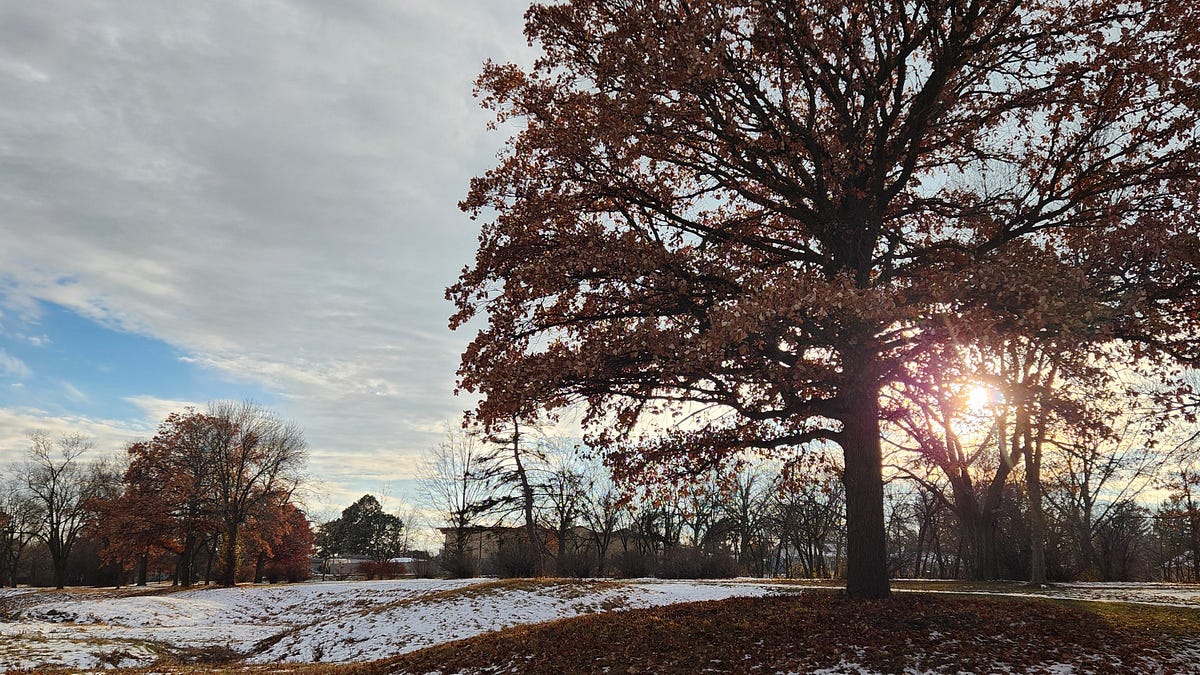 Comments - Grief Contains Multitudes - by Michelle DeRusha