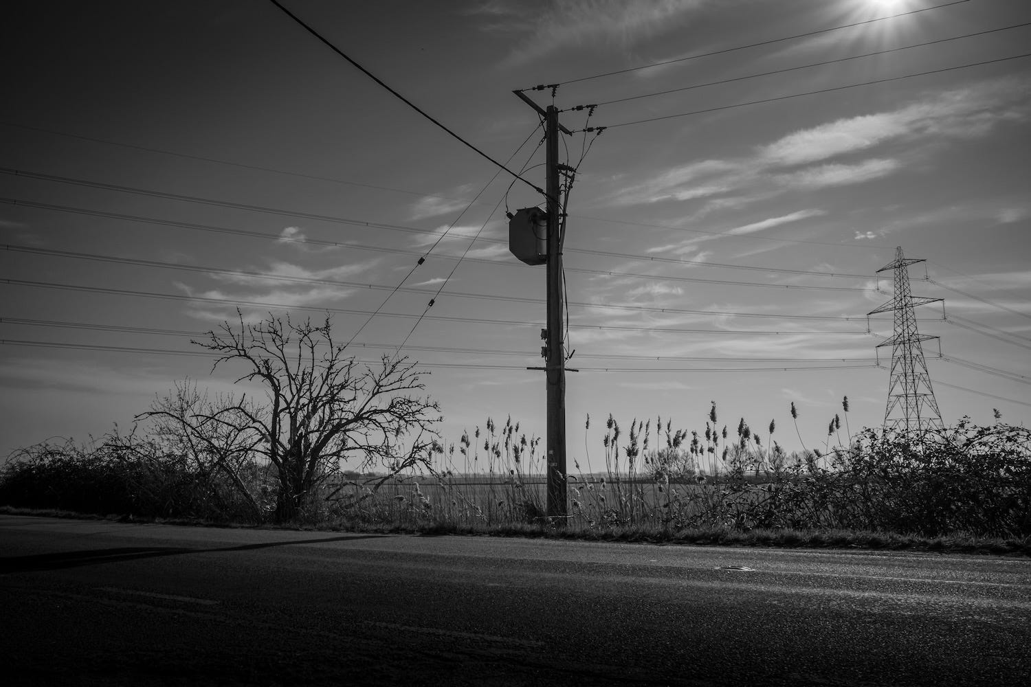 The Architecture of Connection: A Photographic Love Letter to Telegraph ...