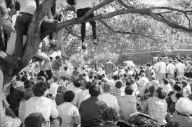 History of Martin Luther King, Jr. - by Bill Petro