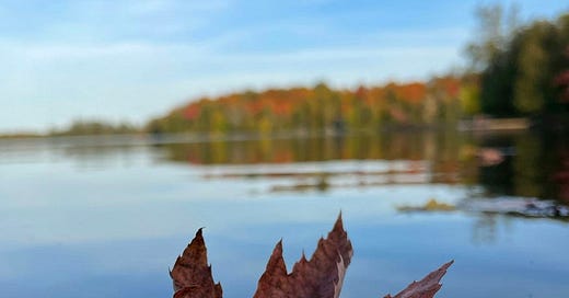 Tom Addison | Substack