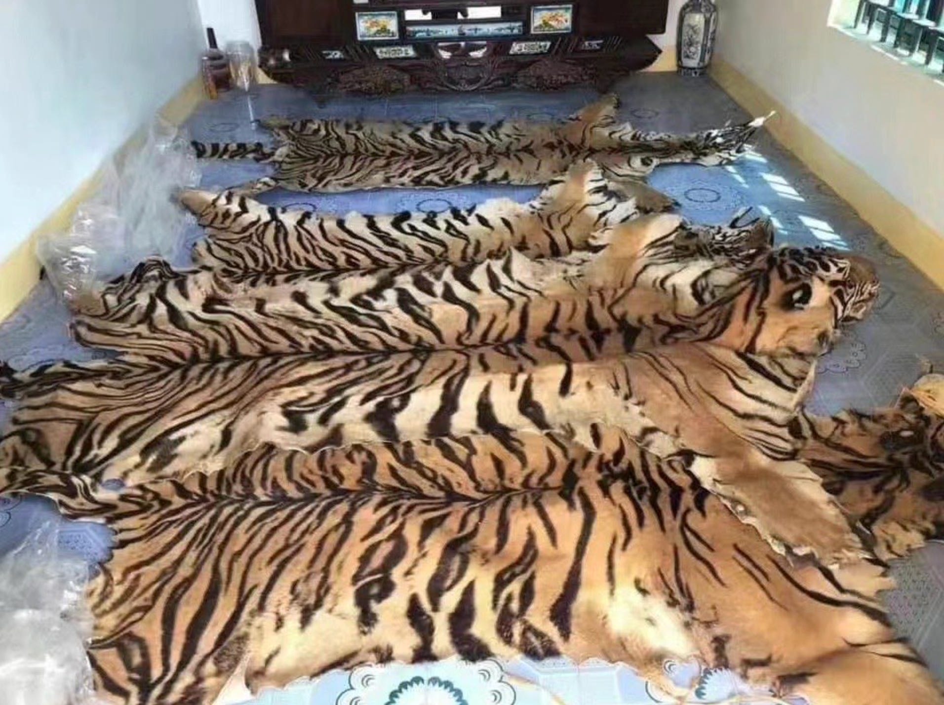 Tiger Wine for Chinese Officials, Fentanyl Routes to Mexico: Report ...