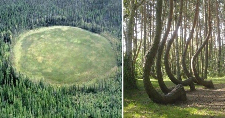 Into the Heart of Darkness: The Haunting Mystery of Romania’s Hoia ...