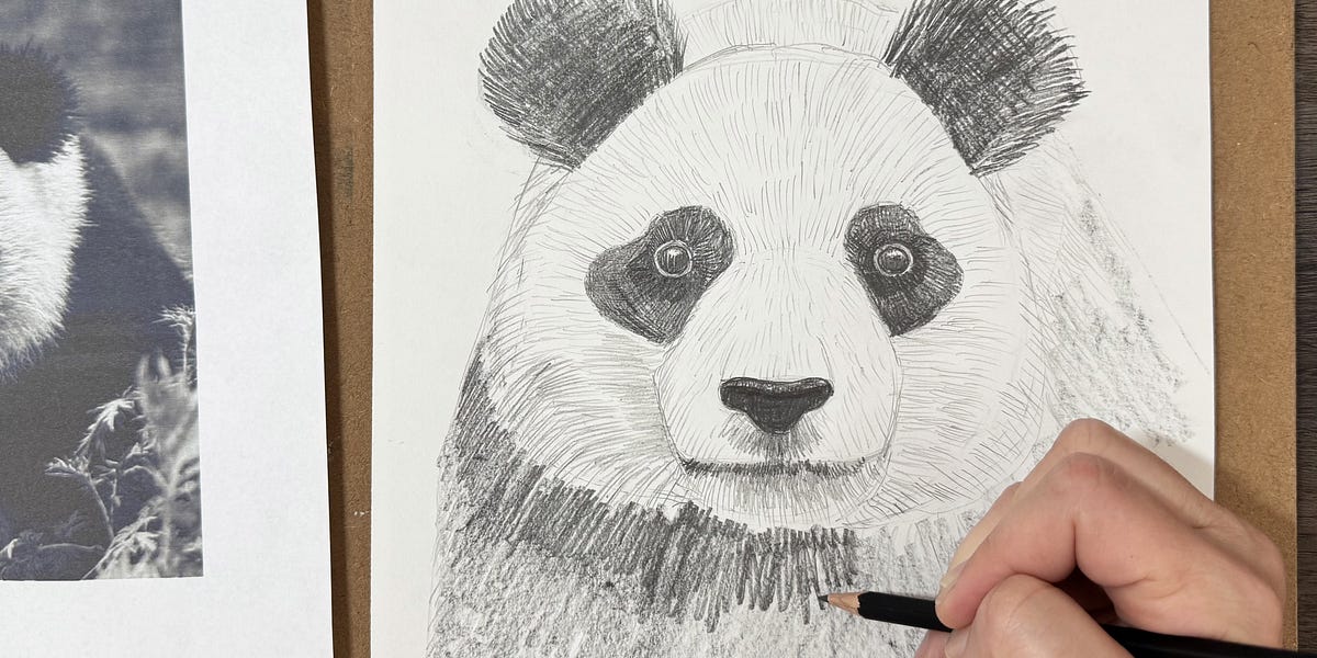 How to Draw a Panda - by Lisa Johnston Hancock