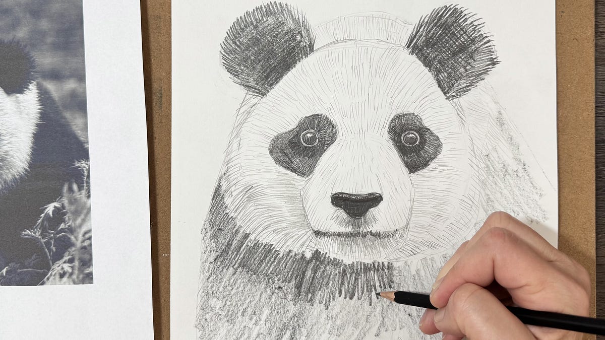 sketch a panda