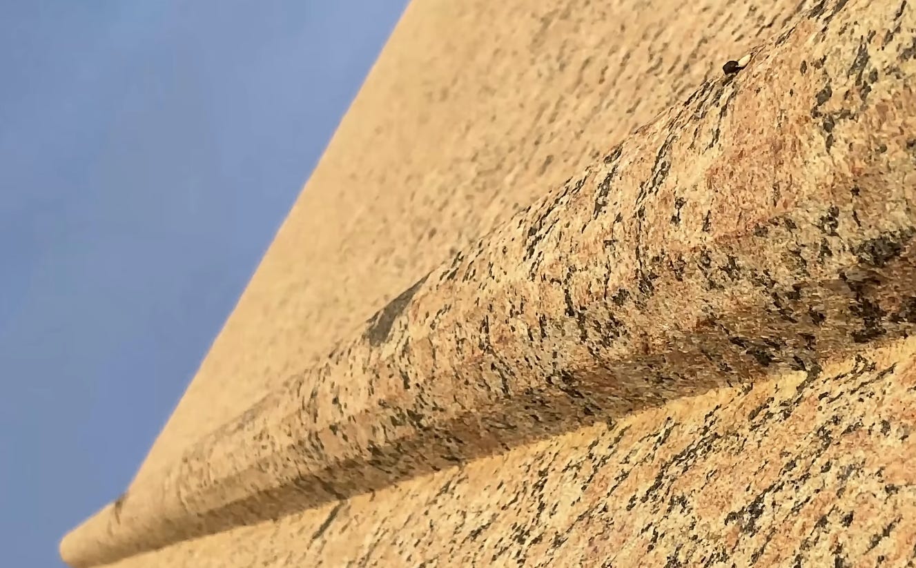 STONE COLD EVIDENCE - by Jay Wilson - Jay's SUBSTACK