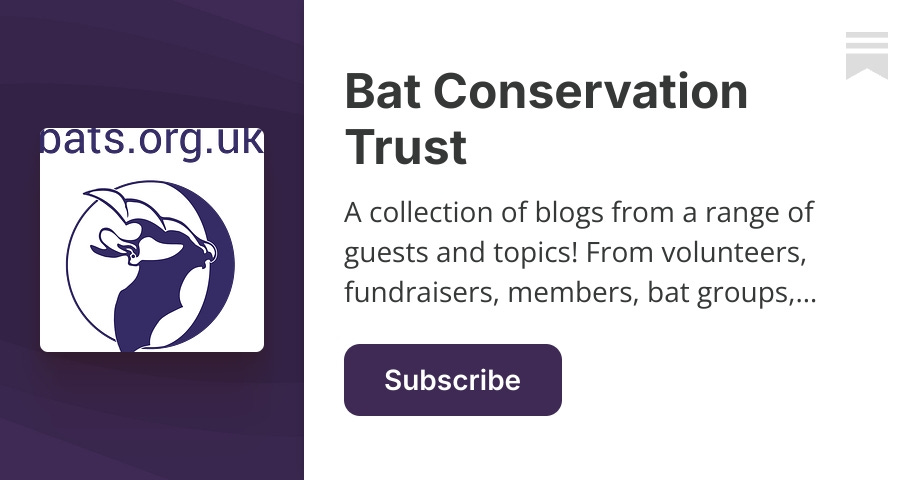 Bat Conservation Trust | Substack