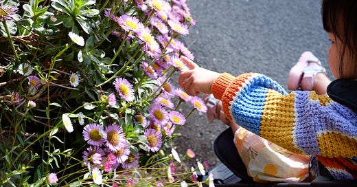 Heart & Hope | Anna Tran | Substack