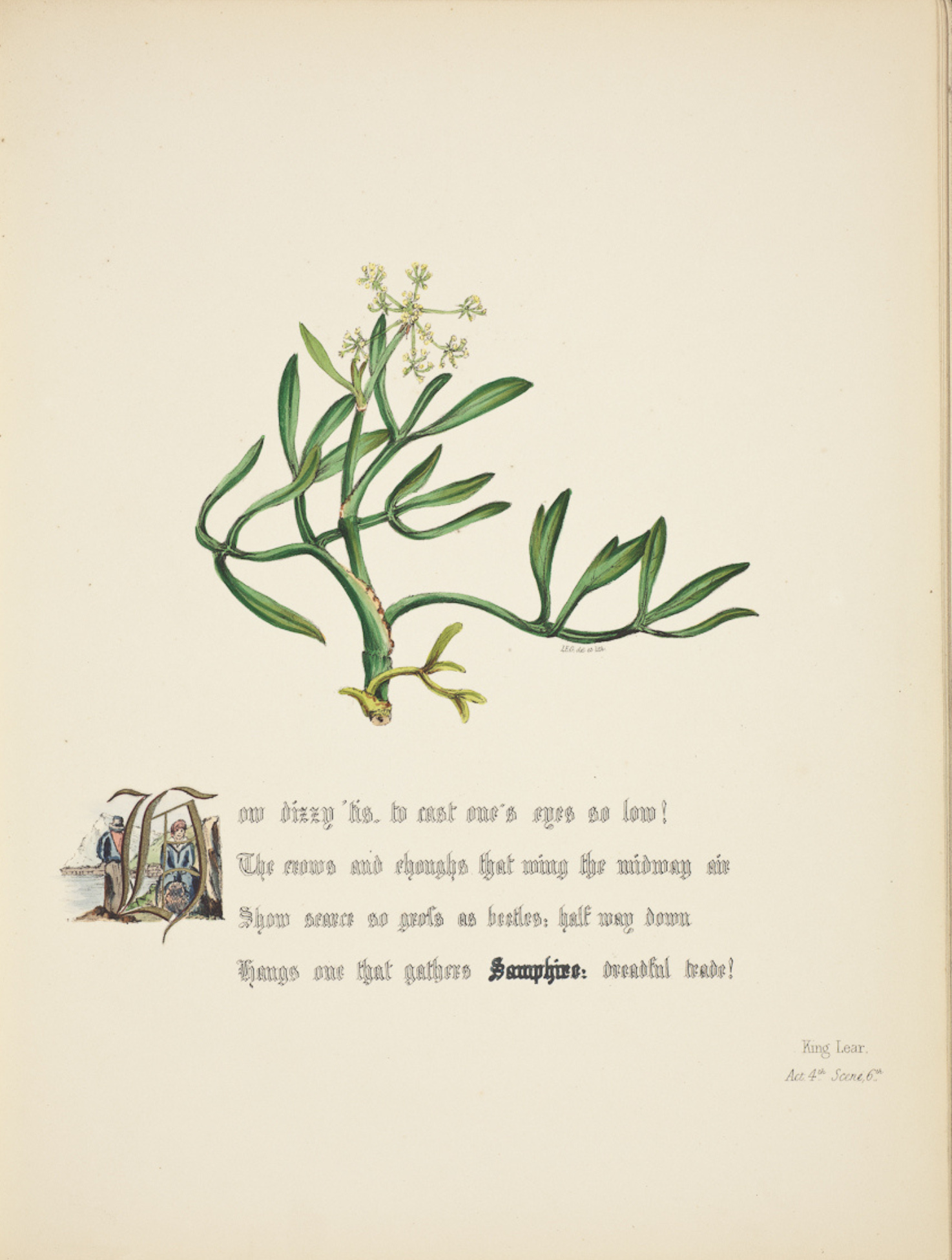 The Shakespeare Garden: Jane Elizabeth Giraud's Posies and Elizabethan ...