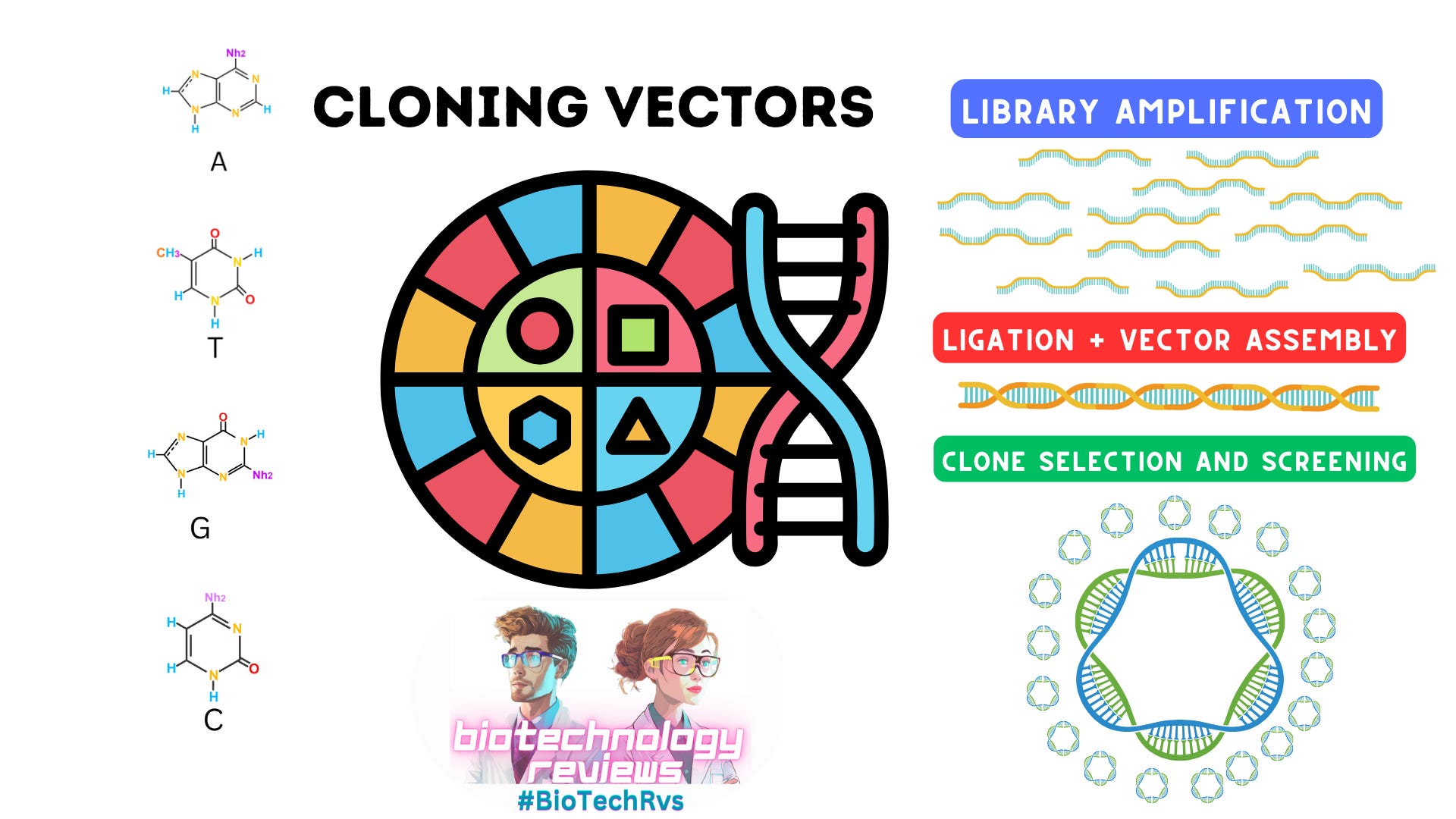 Cloning Vectors, Expression Vectors, Design, biochemical structure ...