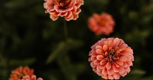 COFFEE + CRUMBS | Substack