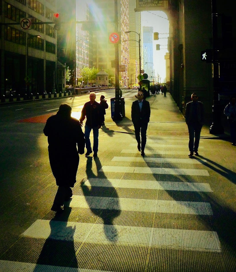 THE INVISIBLE LANDSCAPE: SEEING OUR WORLD THROUGH THE EYES OF A ...