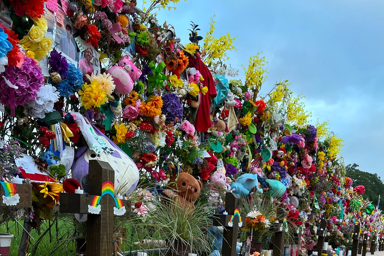 Re:Seed the Texas Hill Country | Jordan Aspen | Substack