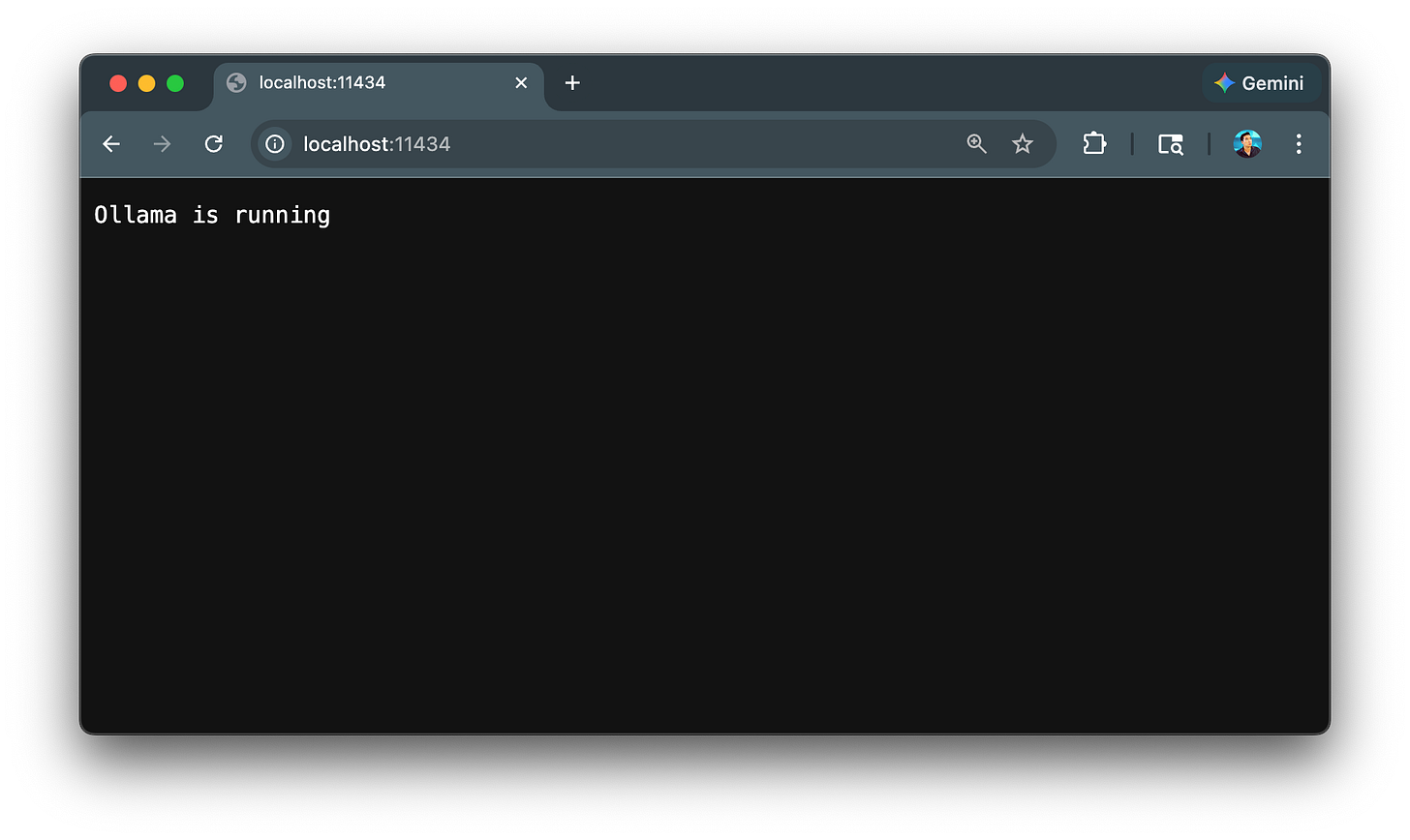 Getting Started with Ollama - by Chanin Nantasenamat