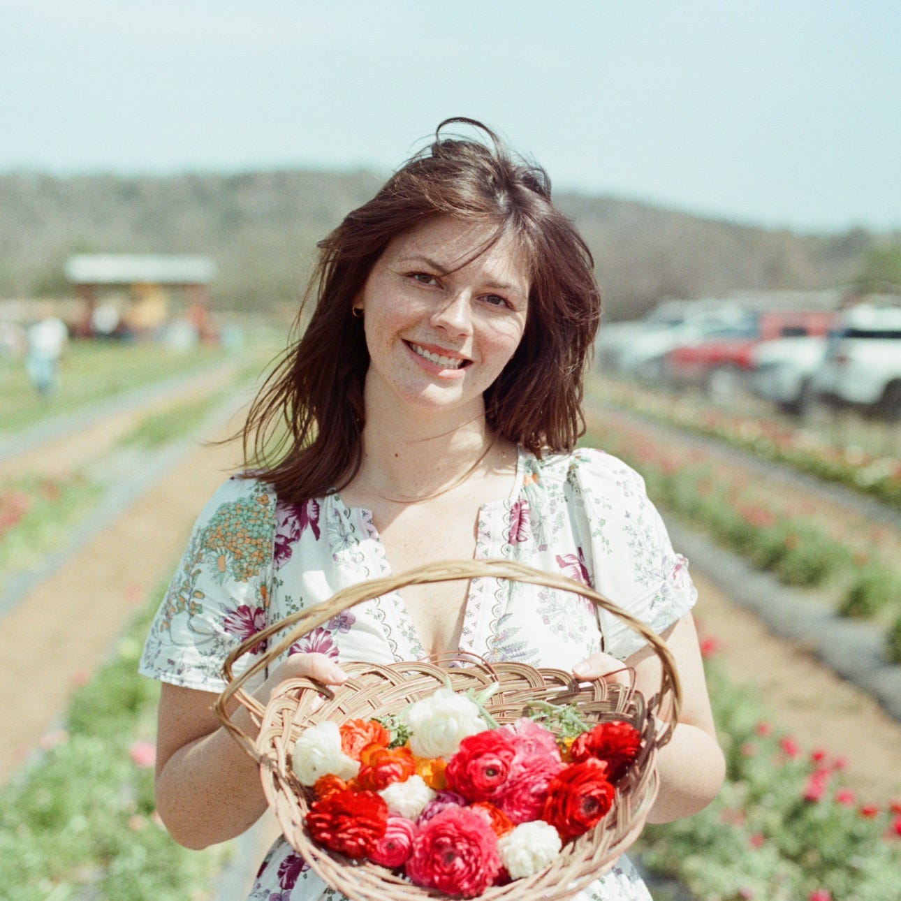 Josephine Spacek | Substack