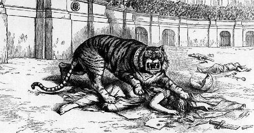 Amanda Nelson | Substack