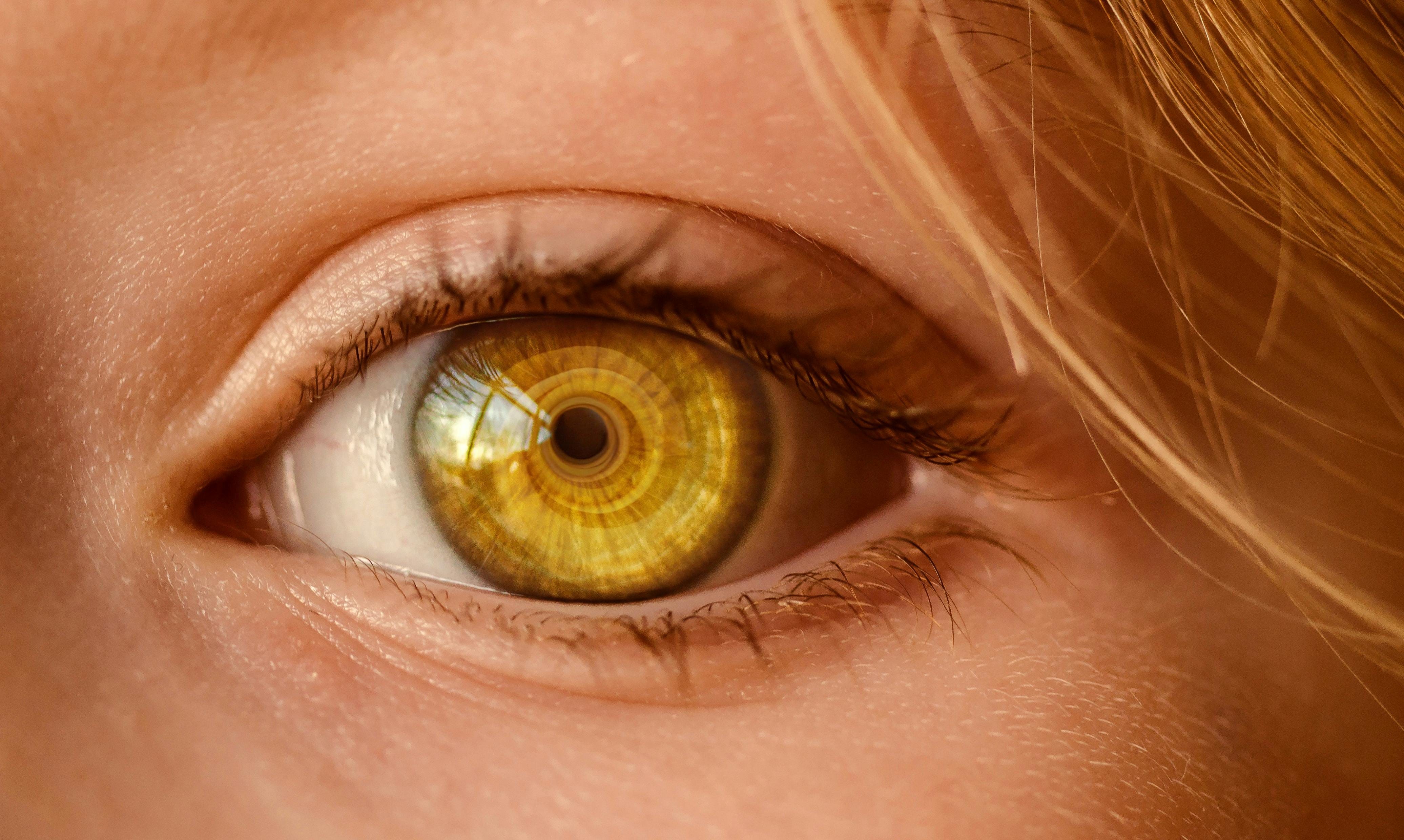Glaucoma: The Eye Disease You Don’t Feel Coming - vrt
