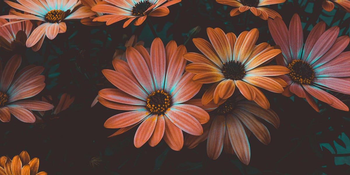How To Identify Limiting Beliefs