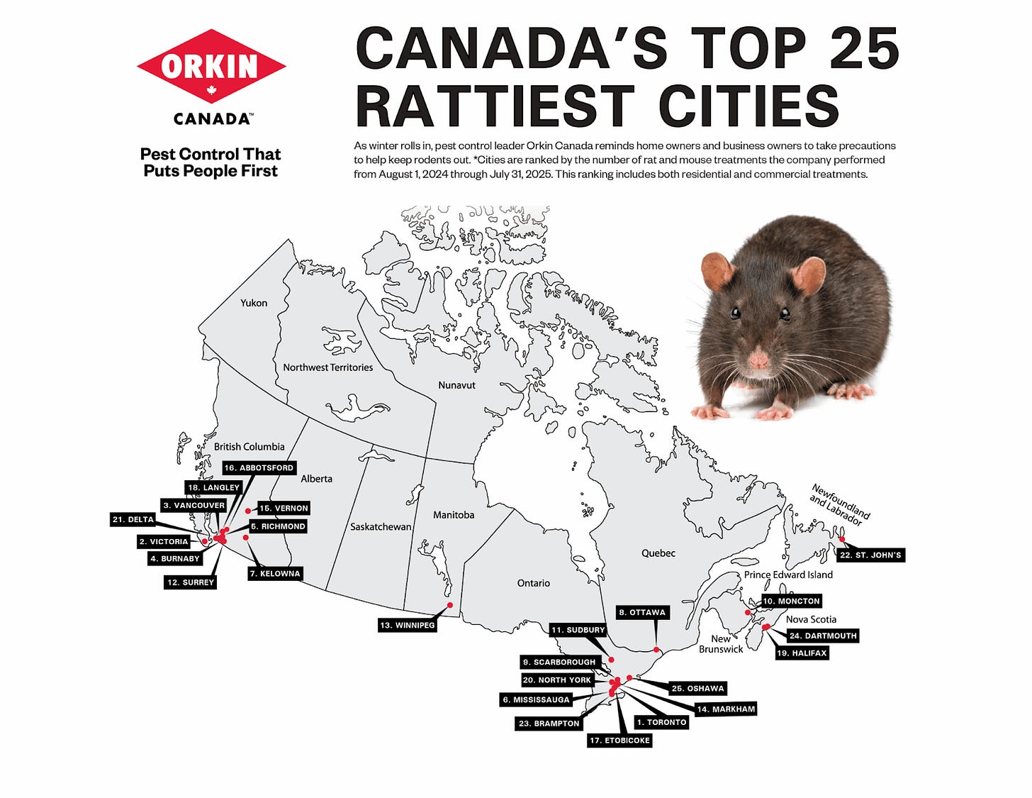 Toronto tops list as Canada’s most rat-infested city in 2025