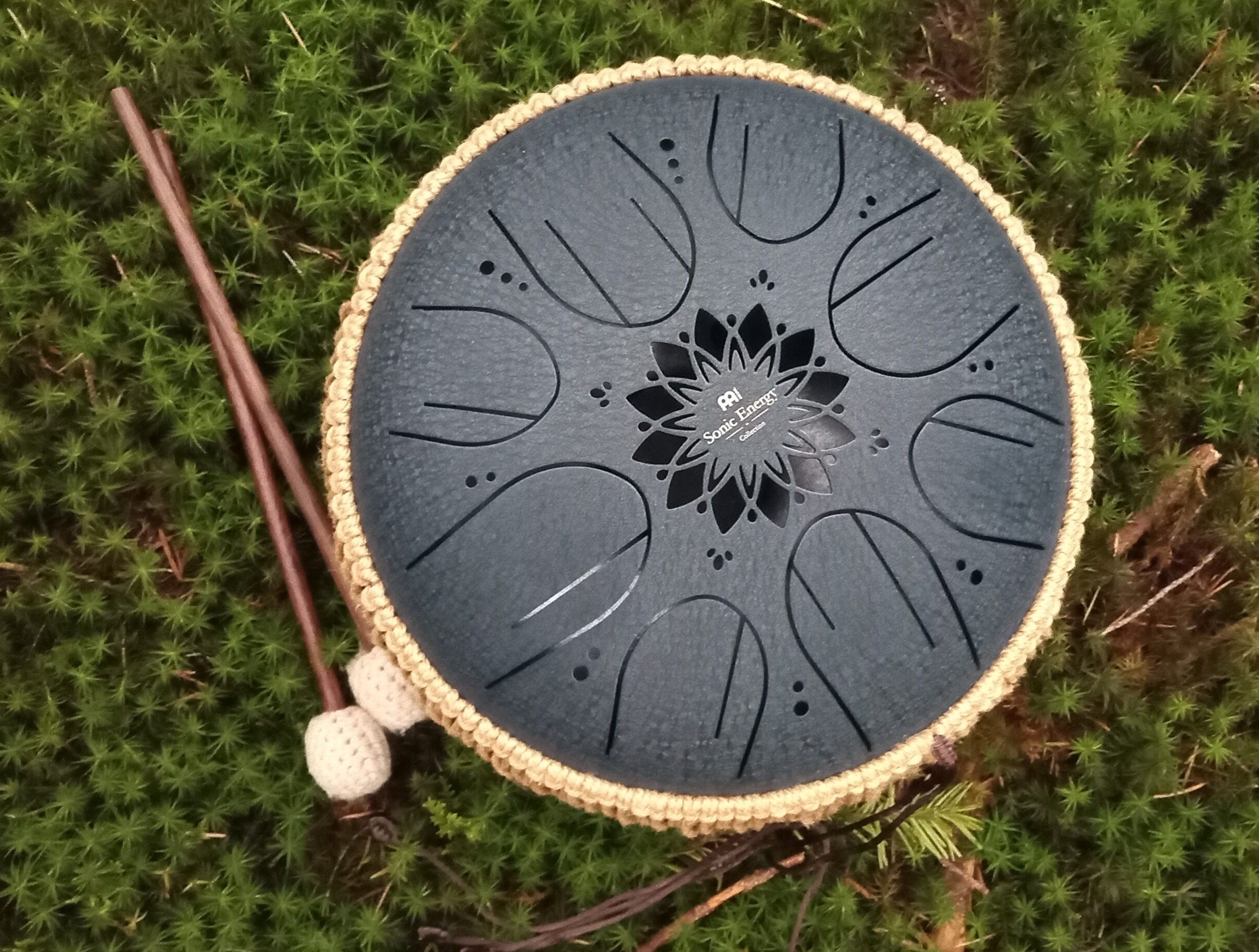 Stay in the Higher Frequencies - Carlita Shaw