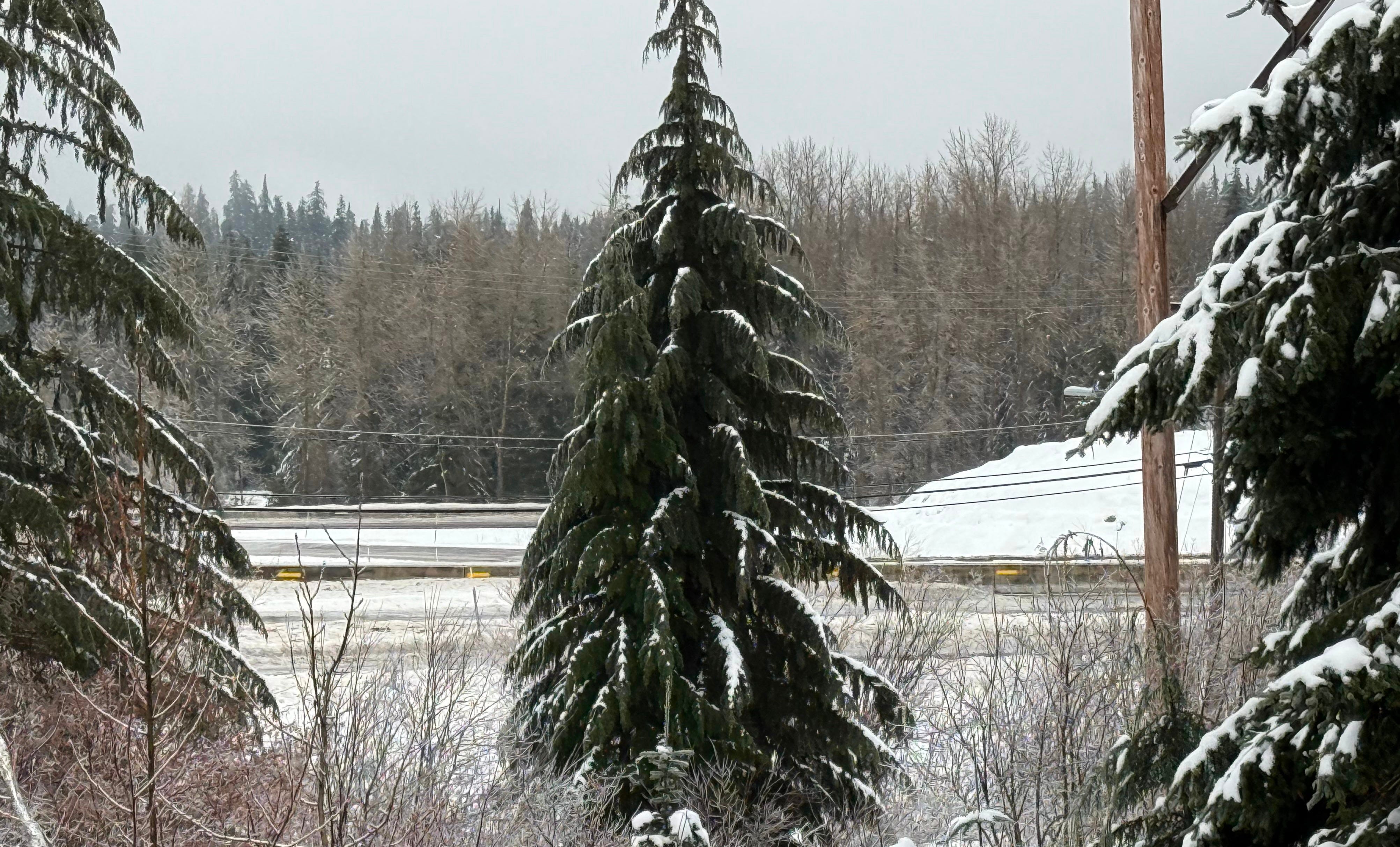 The Tren de Aragua trail of terror - by Jeff Eager