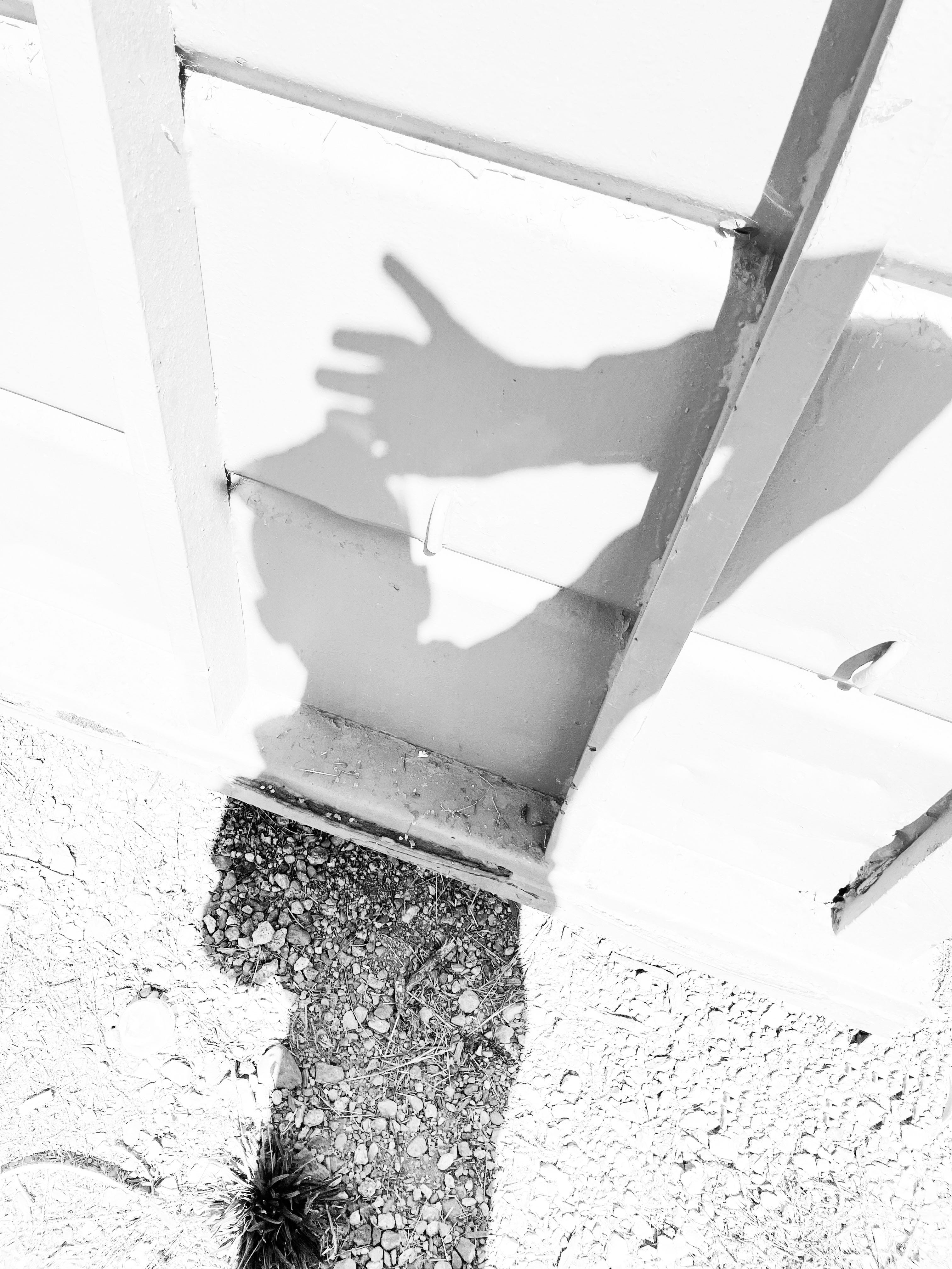 FWP - by Elmo Semiosis - The Loser Gives Up