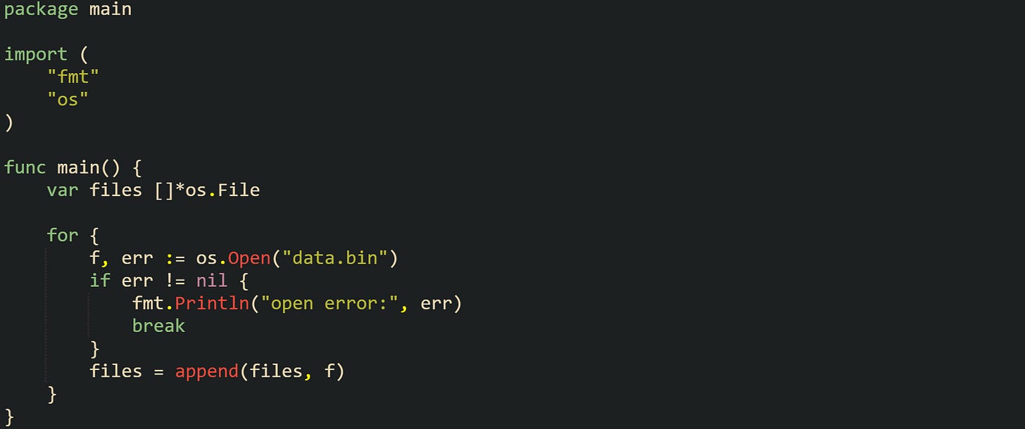 file descriptor leak