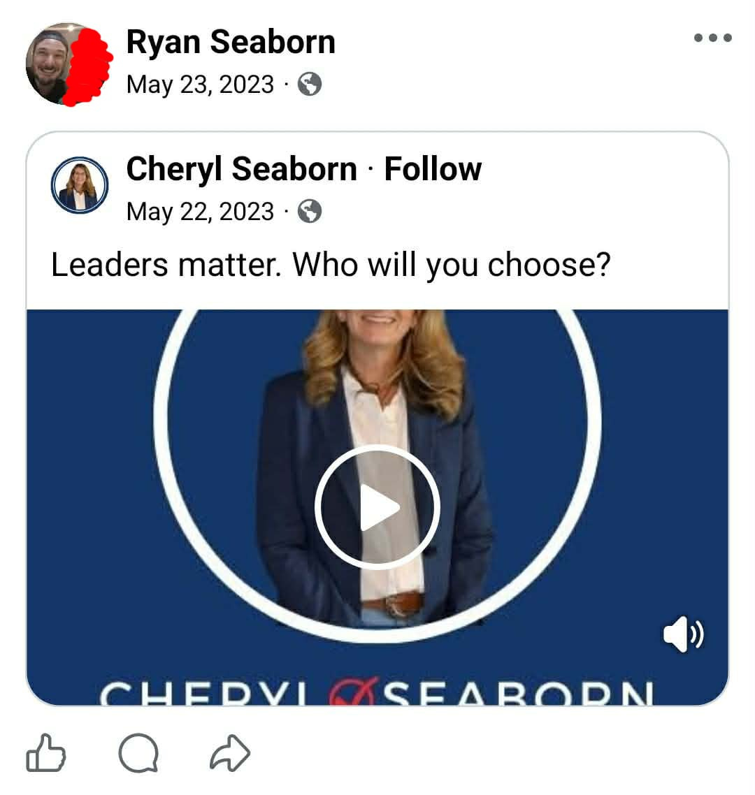 Something hinky this way comes - by Recall Fan 44