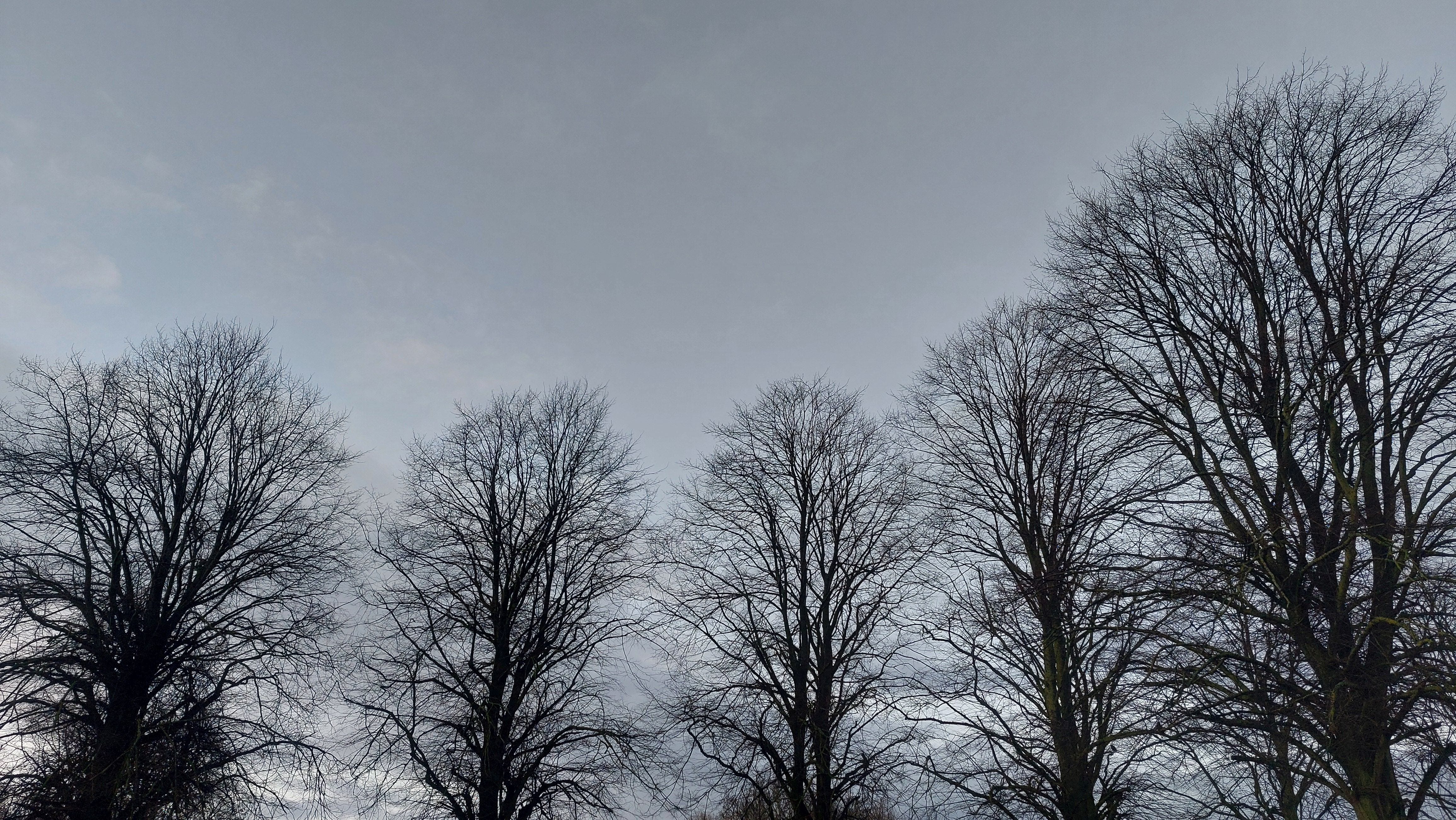 Not Everything Needs to Grow Right Now