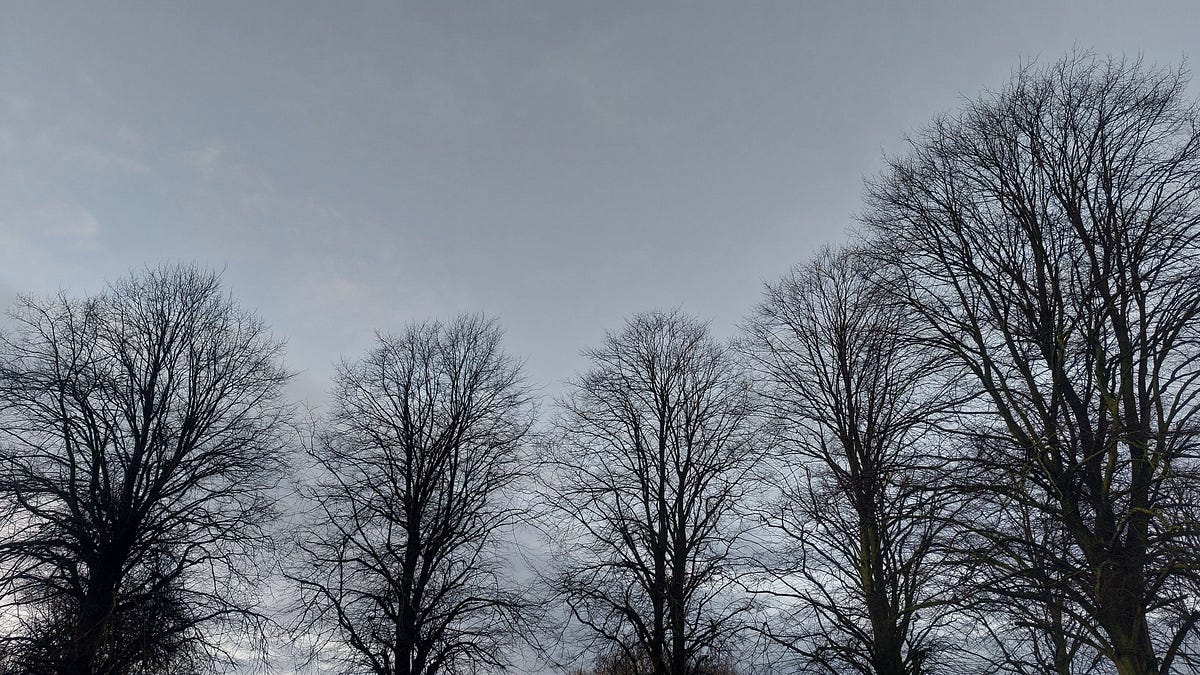 Not Everything Needs to Grow Right Now