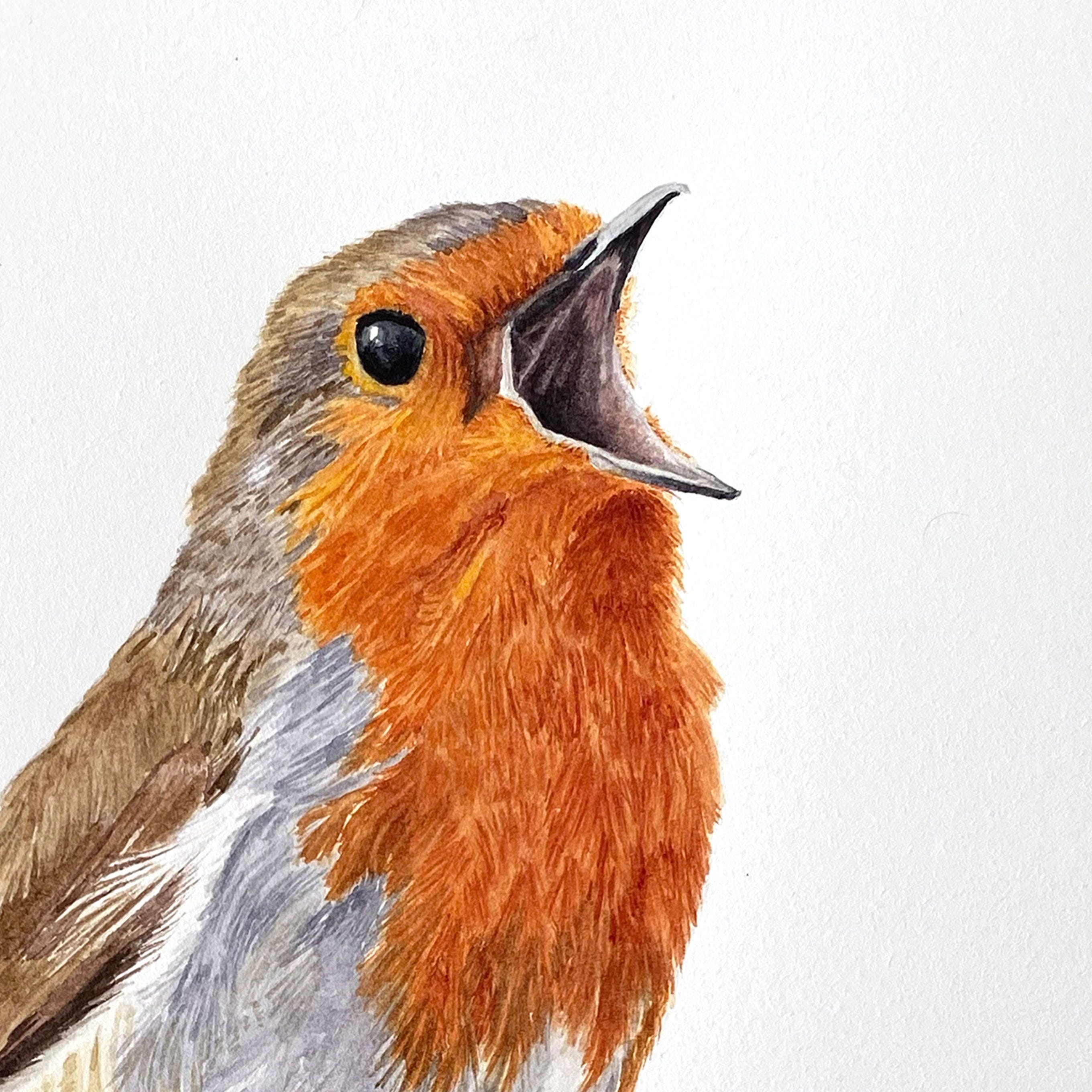 Susannah Fisher | Substack