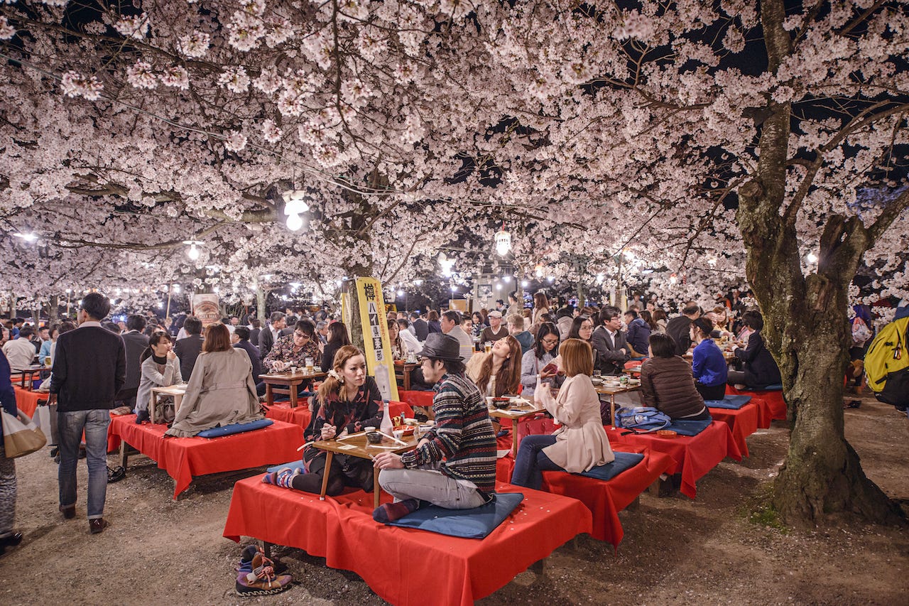 Sakura Through the Ages: The Spirit of Japan and the Legend of the 10 ...