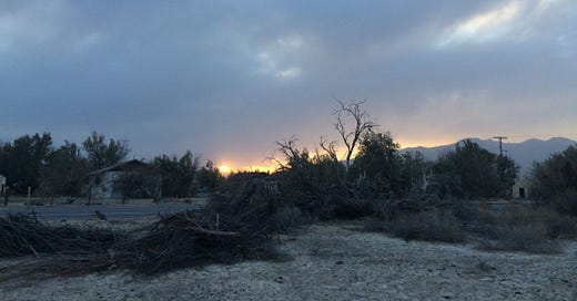 DESIRE LINES: BOOKS, CULTURE, ART | Heather King | Substack