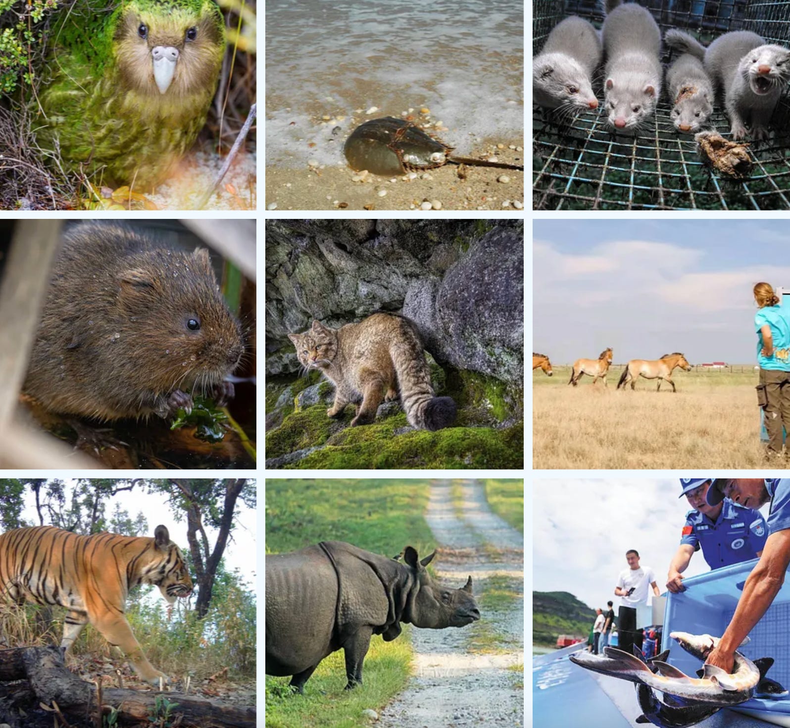 324: D̶u̶n̶e̶ Wind. Middle Class Mexico. Psychiatric biomarkers ...