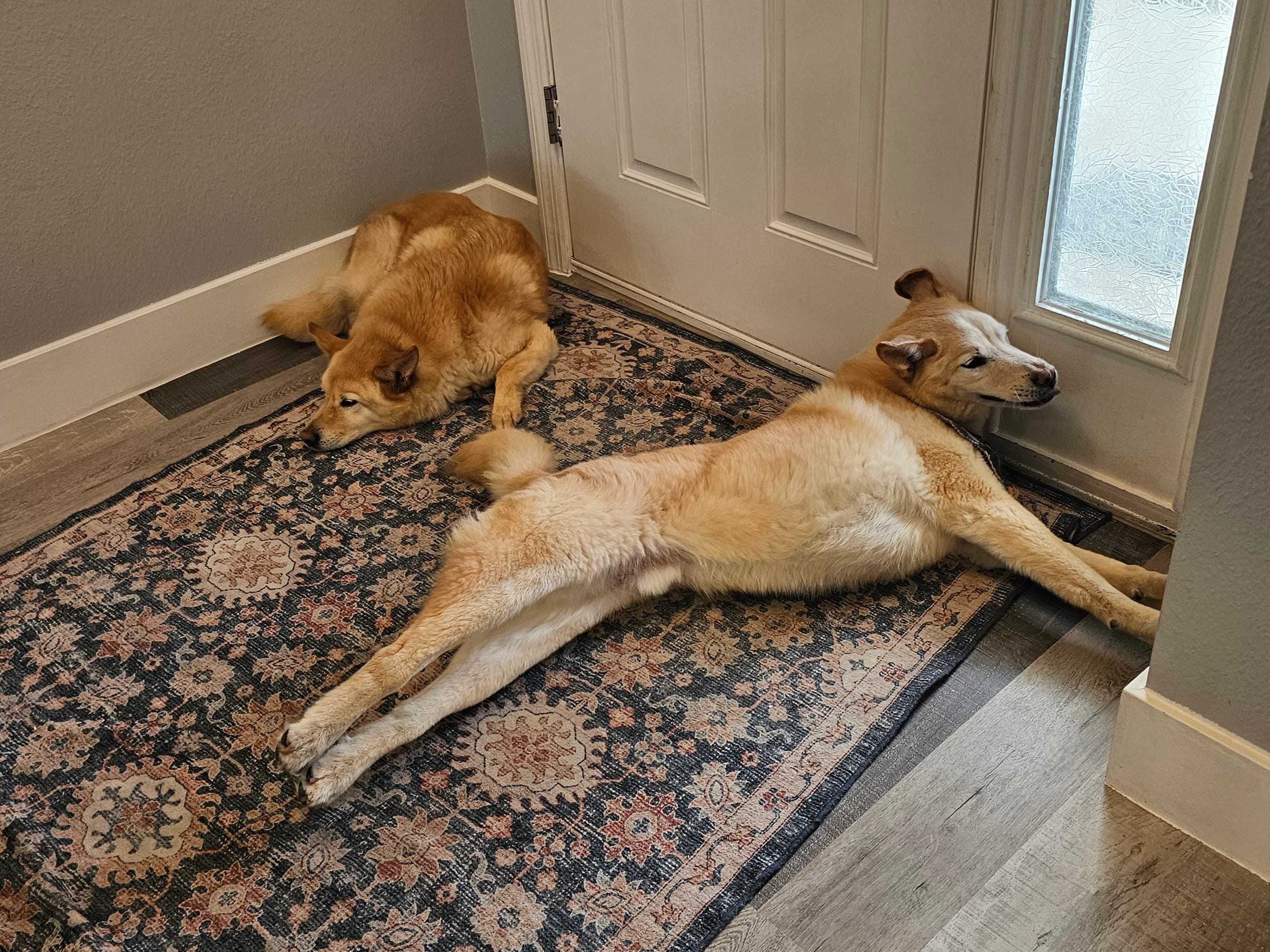 Bound By Words: Funded in 6 Hours! - by Cici Affini