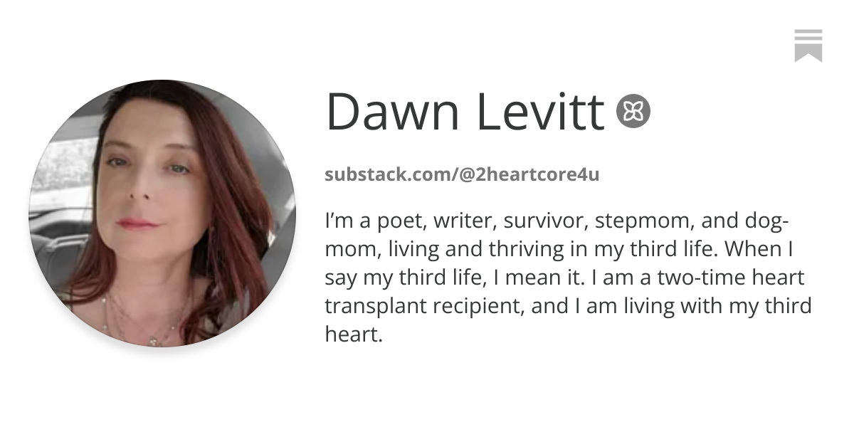 Dawn Levitt | Substack